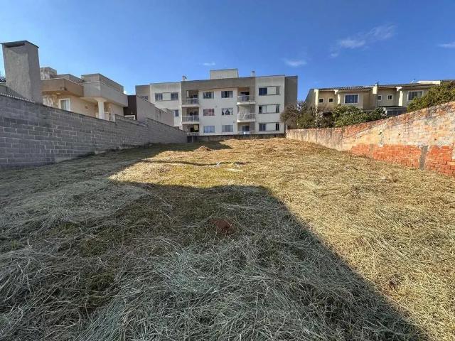 Terreno / Lote para Venda em Campo Largo/PR Aparecida