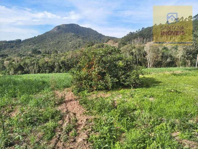 Terreno / Lote para Venda em Campo Largo/PR Bateias