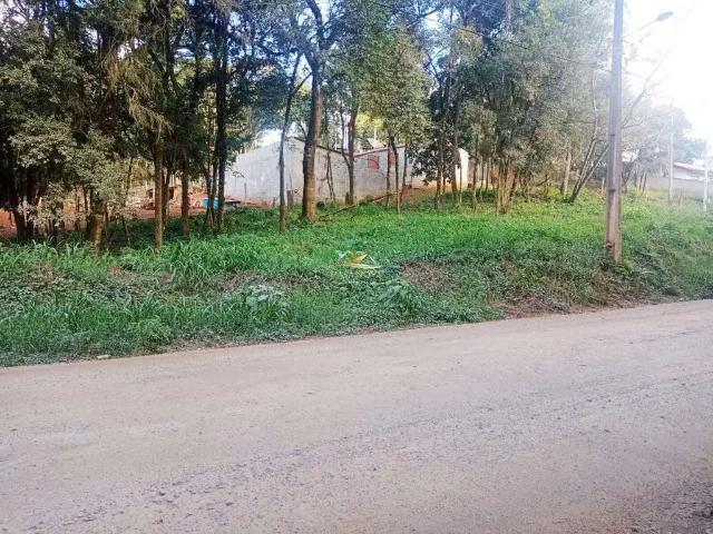 Terreno / Lote para Venda em Campo Largo/PR Bateias