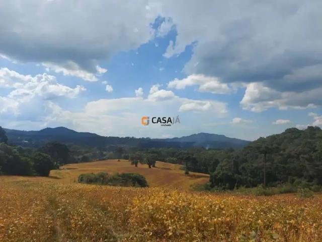Terreno / Lote para Venda em Campo Largo/PR Bateias