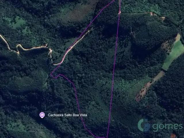 Terreno / Lote para Venda em Campo Largo/PR Bateias