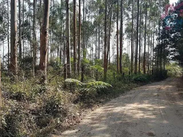 Terreno / Lote para Venda em Campo Largo/PR Bateias