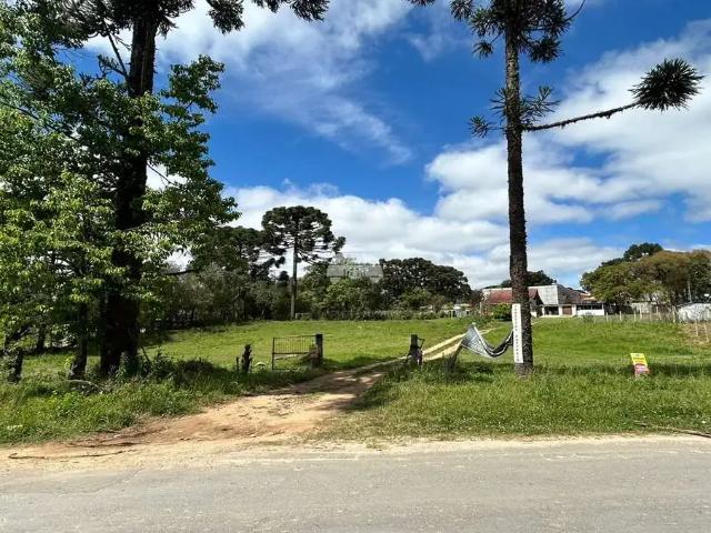 Terreno / Lote para Venda em Campo Largo/PR Bateias