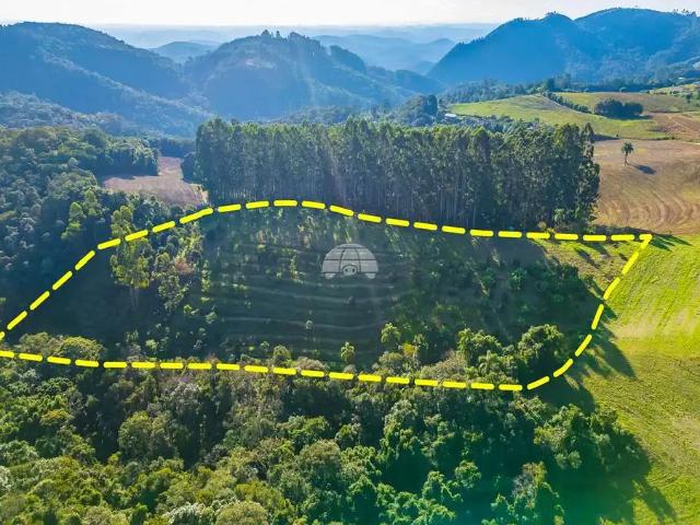Terreno / Lote para Venda em Campo Largo/PR Bateias