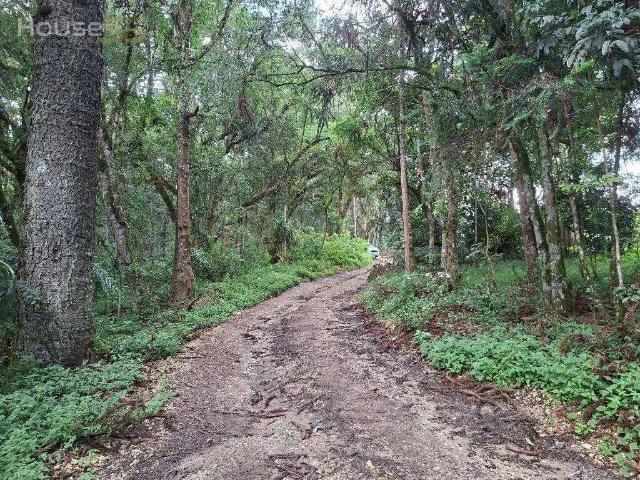 Terreno / Lote para Venda em Campo Largo/PR Bateias