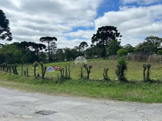 Terreno / Lote para Venda em Campo Largo/PR Bateias