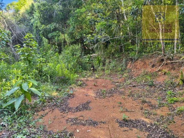 Terreno / Lote para Venda em Campo Largo/PR Bateias