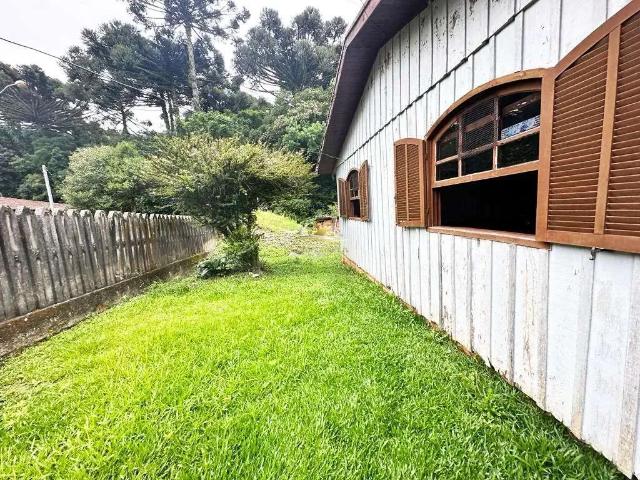 Terreno / Lote para Venda em Campo Largo/PR Bom Jesus
