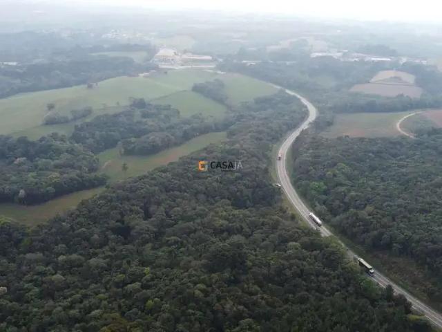 Terreno / Lote para Venda em Campo Largo/PR Botiatuva