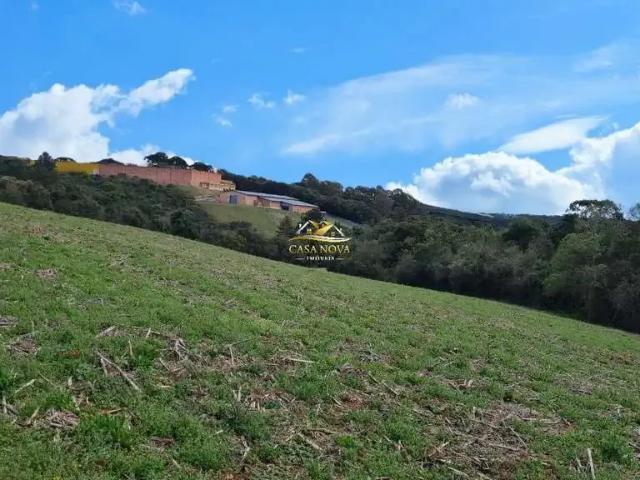Terreno / Lote para Venda em Campo Largo/PR Botiatuva