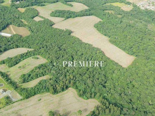 Terreno / Lote para Venda em Campo Largo/PR Botiatuva