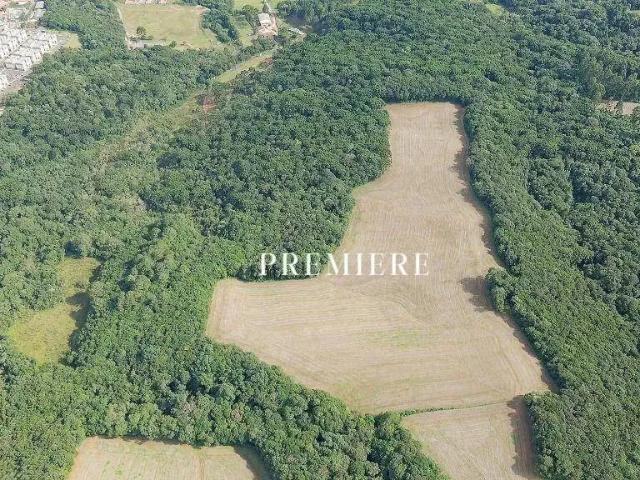 Terreno / Lote para Venda em Campo Largo/PR Botiatuva