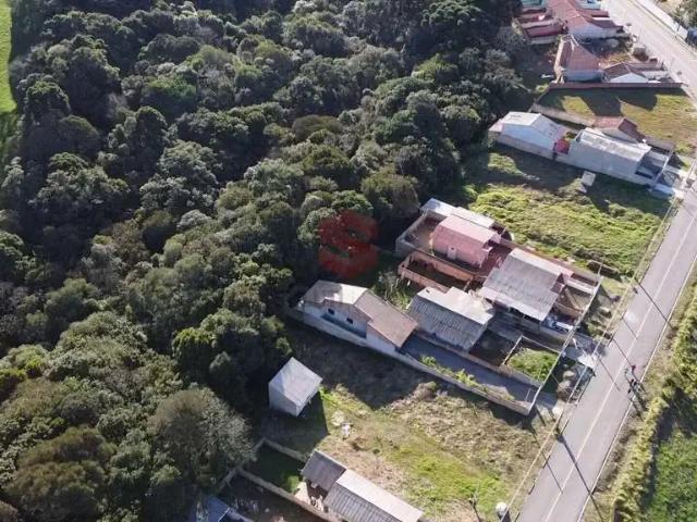 Terreno / Lote para Venda em Campo Largo/PR Campo do Meio