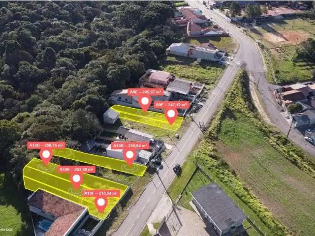 Terreno / Lote para Venda em Campo Largo/PR Campo do Meio