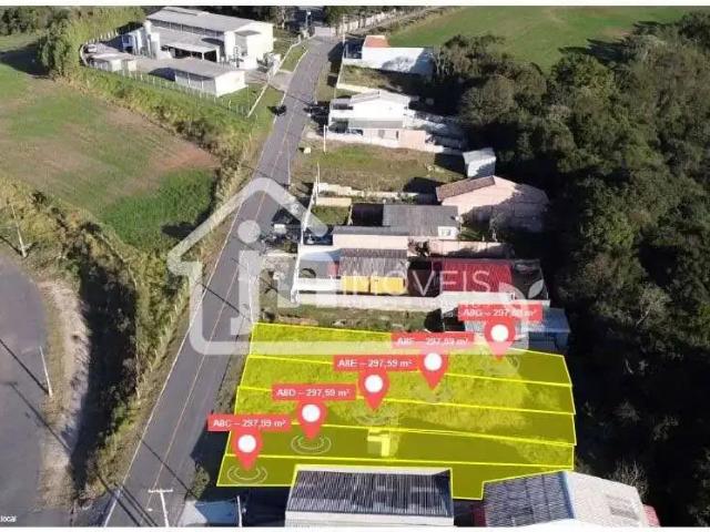 Terreno / Lote para Venda em Campo Largo/PR Campo do Meio