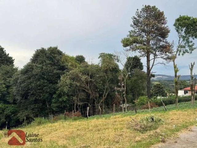 Terreno / Lote para Venda em Campo Largo/PR Campo do Meio