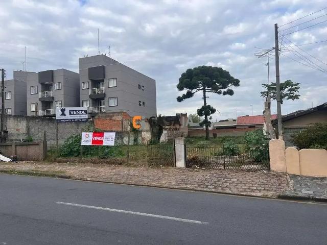 Terreno / Lote para Venda em Campo Largo/PR Centro