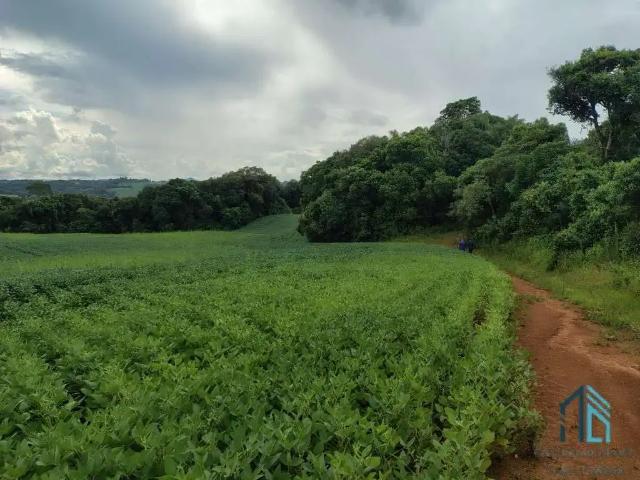 Terreno / Lote para Venda em Campo Largo/PR Centro