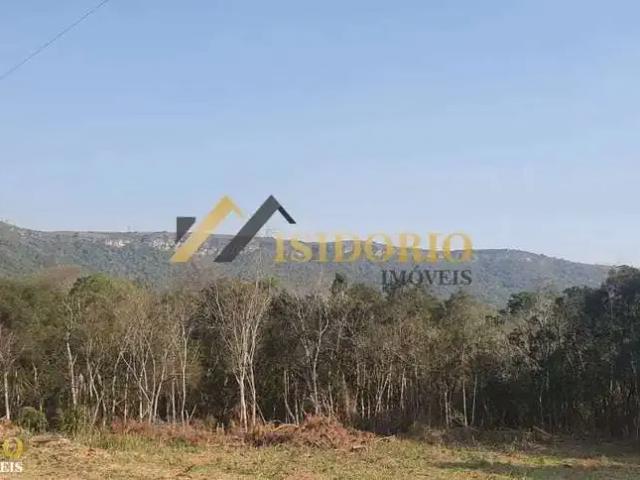 Terreno / Lote para Venda em Campo Largo/PR Centro