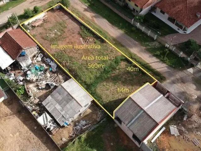 Terreno / Lote para Venda em Campo Largo/PR Cercadinho