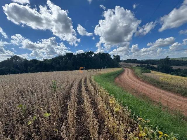 Terreno / Lote para Venda em Campo Largo/PR Colônia Balbino Cunha 1 Quartos