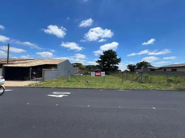 Terreno / Lote para Venda em Campo Largo/PR Conjunto Habitacional Joaquim Celestino Ferreira