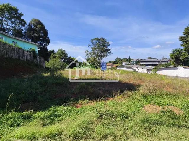 Terreno / Lote para Venda em Campo Largo/PR Conjunto Habitacional Partenope