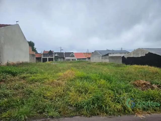 Terreno / Lote para Venda em Campo Largo/PR Cristo Rei