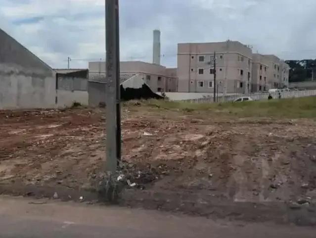 Terreno / Lote para Venda em Campo Largo/PR Cristo Rei