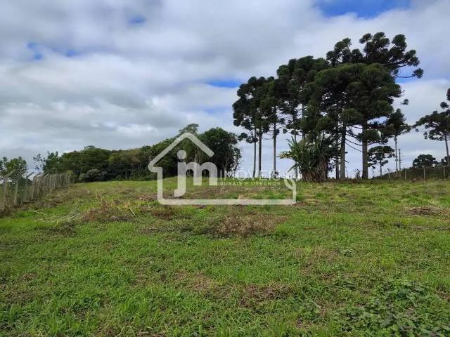 Terreno / Lote para Venda em Campo Largo/PR Fazendinha