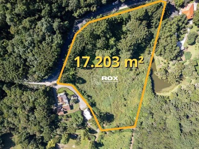 Terreno / Lote para Venda em Campo Largo/PR Ferraria
