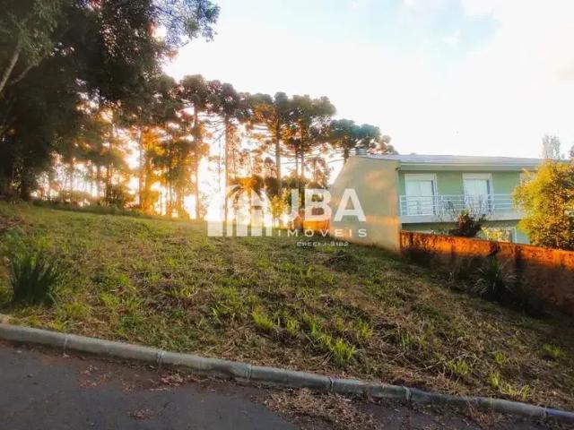 Terreno / Lote para Venda em Campo Largo/PR Ferraria