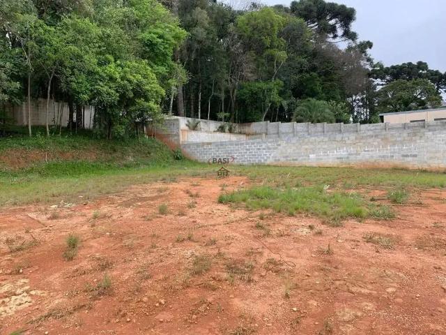 Terreno / Lote para Venda em Campo Largo/PR Ferraria