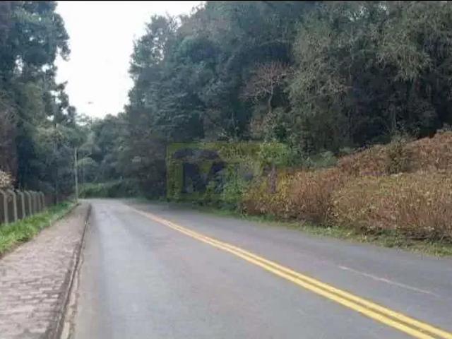 Terreno / Lote para Venda em Campo Largo/PR Ferraria