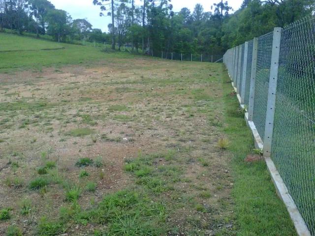 Terreno / Lote para Venda em Campo Largo/PR Ferraria