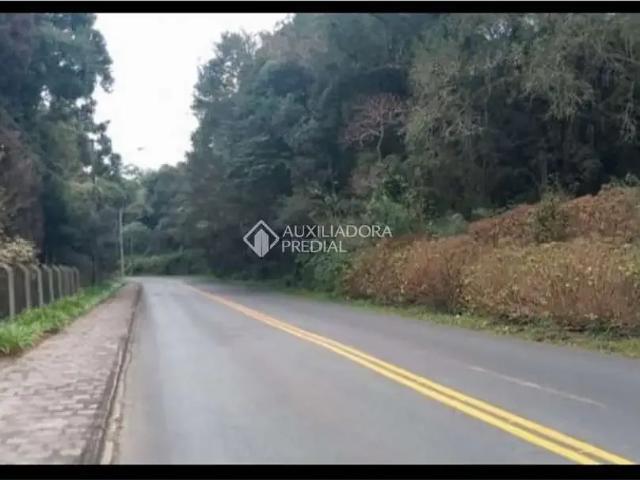 Terreno / Lote para Venda em Campo Largo/PR Ferraria