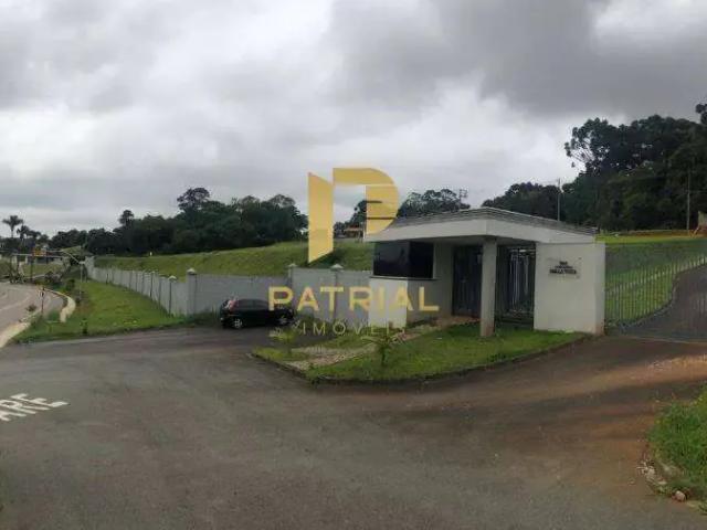 Terreno / Lote para Venda em Campo Largo/PR Ferraria