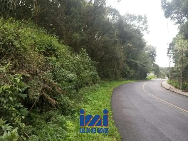 Terreno / Lote para Venda em Campo Largo/PR Ferraria