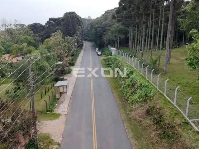 Terreno / Lote para Venda em Campo Largo/PR Ferraria