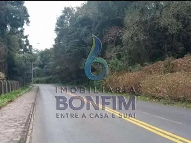 Terreno / Lote para Venda em Campo Largo/PR Ferraria