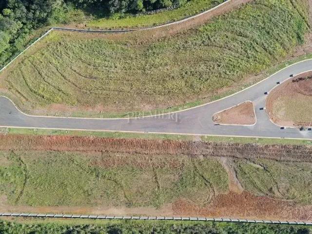 Terreno / Lote para Venda em Campo Largo/PR Ferraria