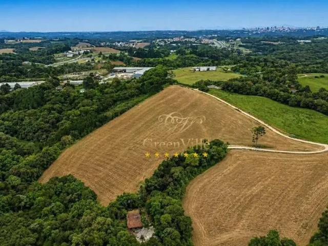 Terreno / Lote para Venda em Campo Largo/PR Ferraria