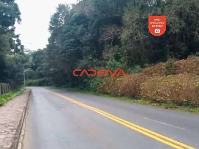 Terreno / Lote para Venda em Campo Largo/PR Ferraria