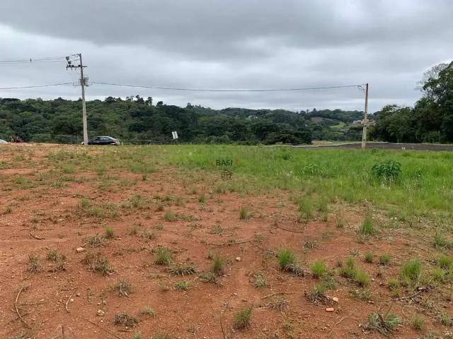 Terreno / Lote para Venda em Campo Largo/PR Ferraria