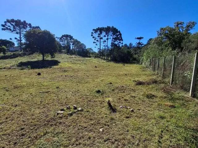 Terreno / Lote para Venda em Campo Largo/PR Ferraria