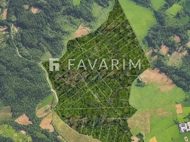 Terreno / Lote para Venda em Campo Largo/PR Guabiroba