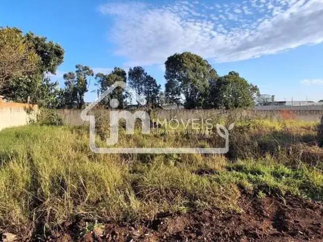 Terreno / Lote para Venda em Campo Largo/PR Guabiroba