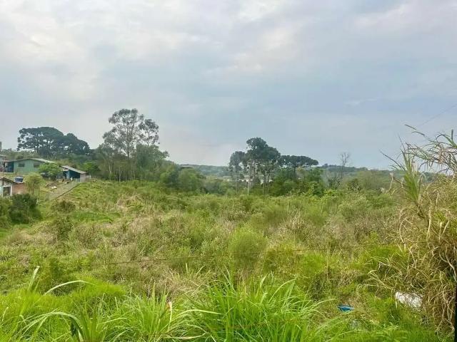 Terreno / Lote para Venda em Campo Largo/PR Itaqui
