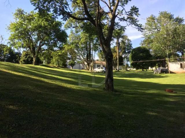 Terreno / Lote para Venda em Campo Largo/PR Itaqui