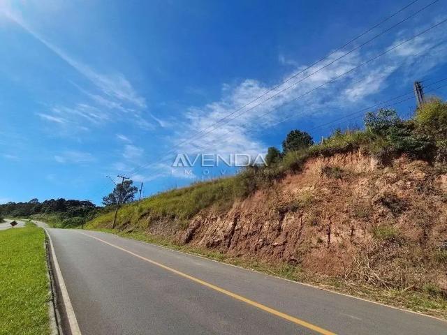 Terreno / Lote para Venda em Campo Largo/PR Itaqui